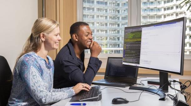 ToegangVerleningService | Dictu.nl